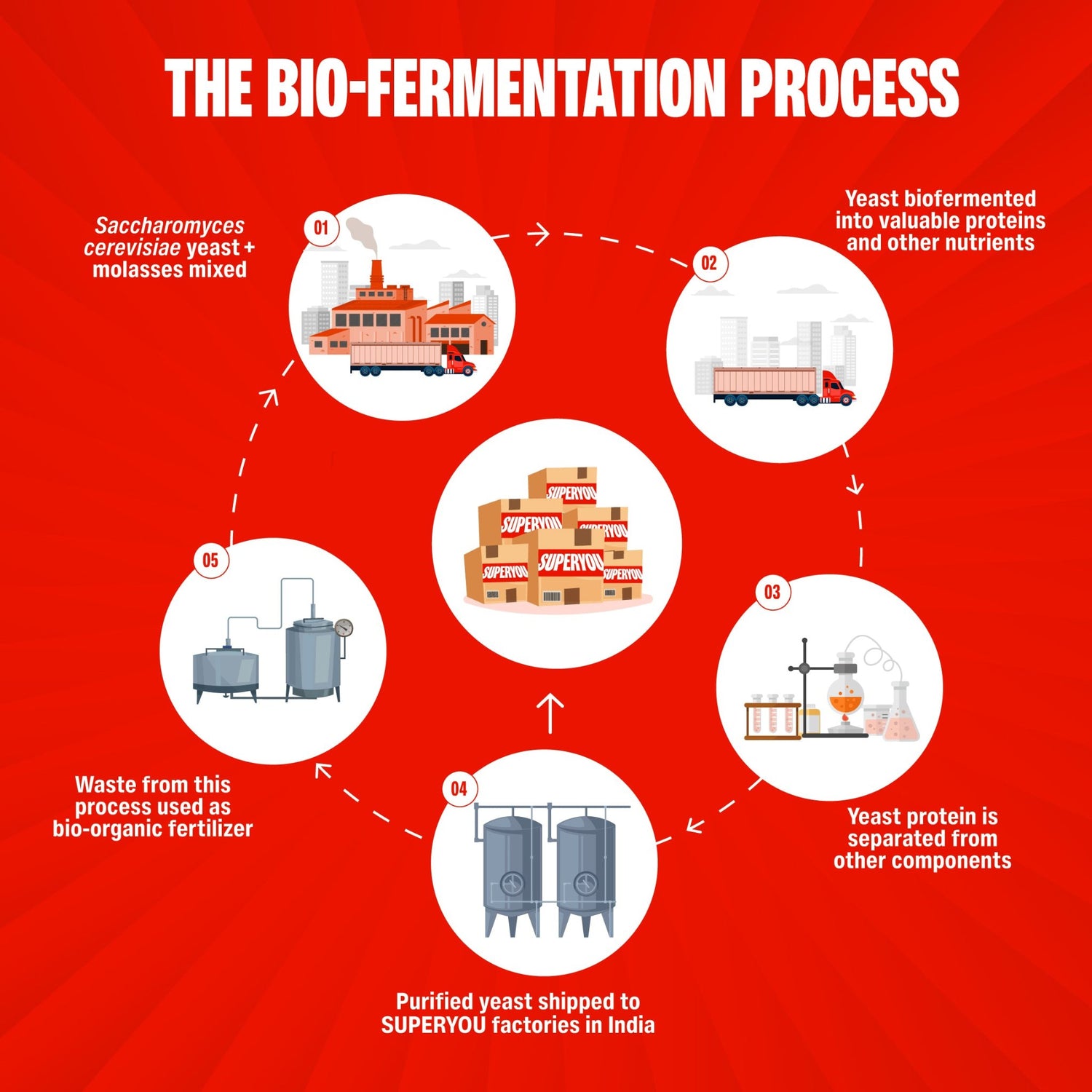 SuperYou Protein Wafers